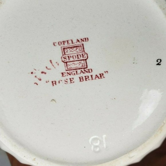 Unlisted | Dining | Vtg Copeland Spode Rose Briar Dinner Set | Poshmark
